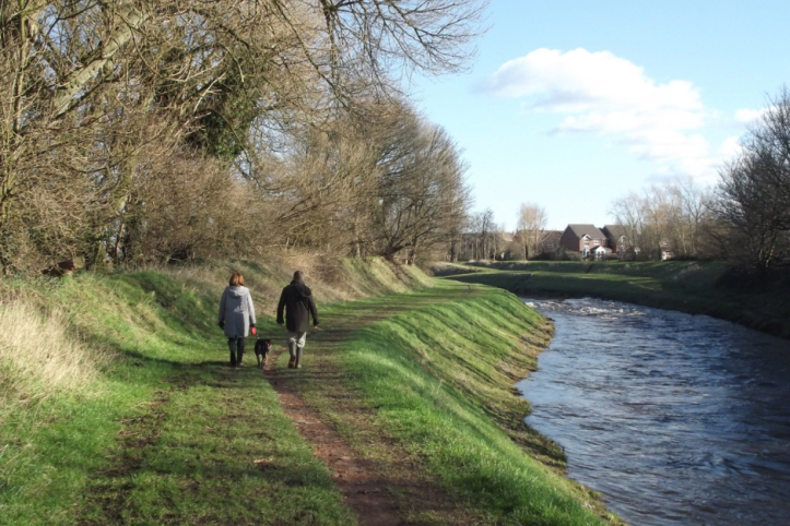 Home | Healthwatch Barnet